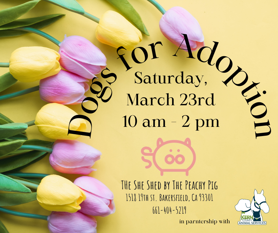 Upcoming Adoption Events | Animal Services, Kern County